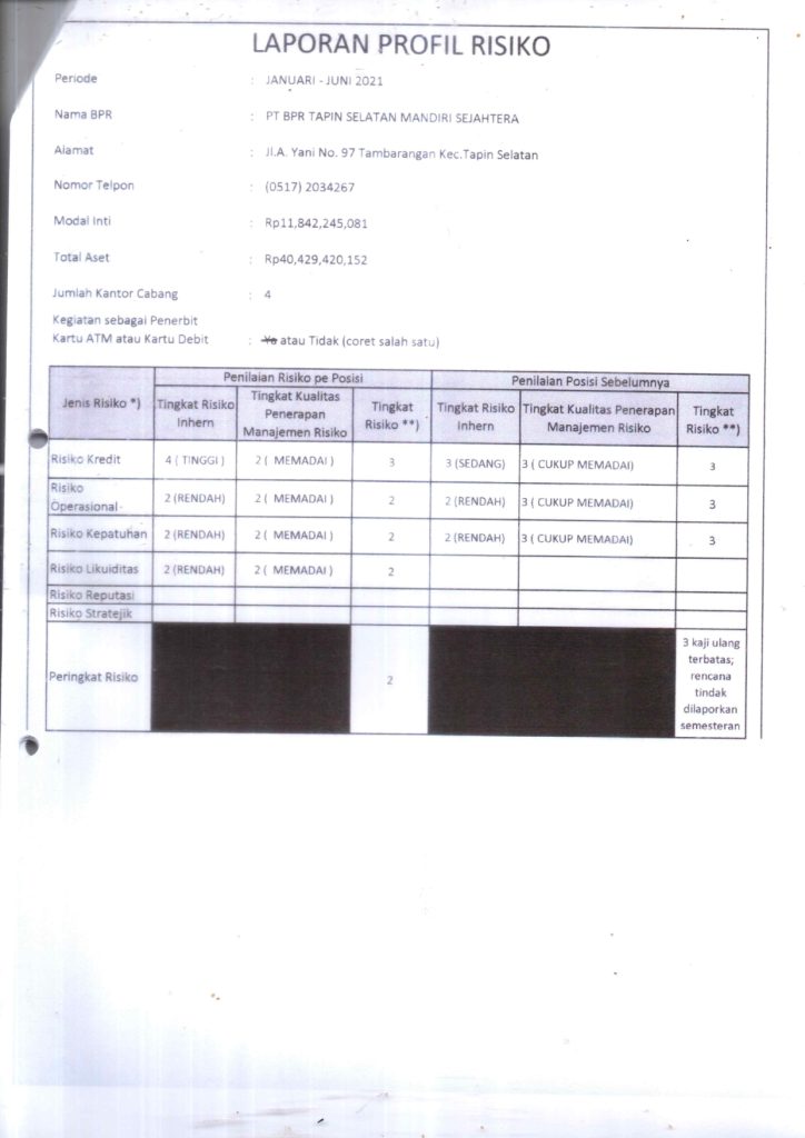 Laporan Profil Risiko – Bank Tapin